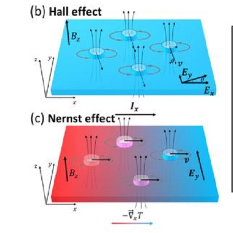 Nernst Sign Reversal in the Hexatic Vortex Phase of Weakly Disordered a ...